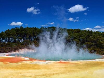 Top 10 restaurants in Napier, october 2025 - Restaurant Guru