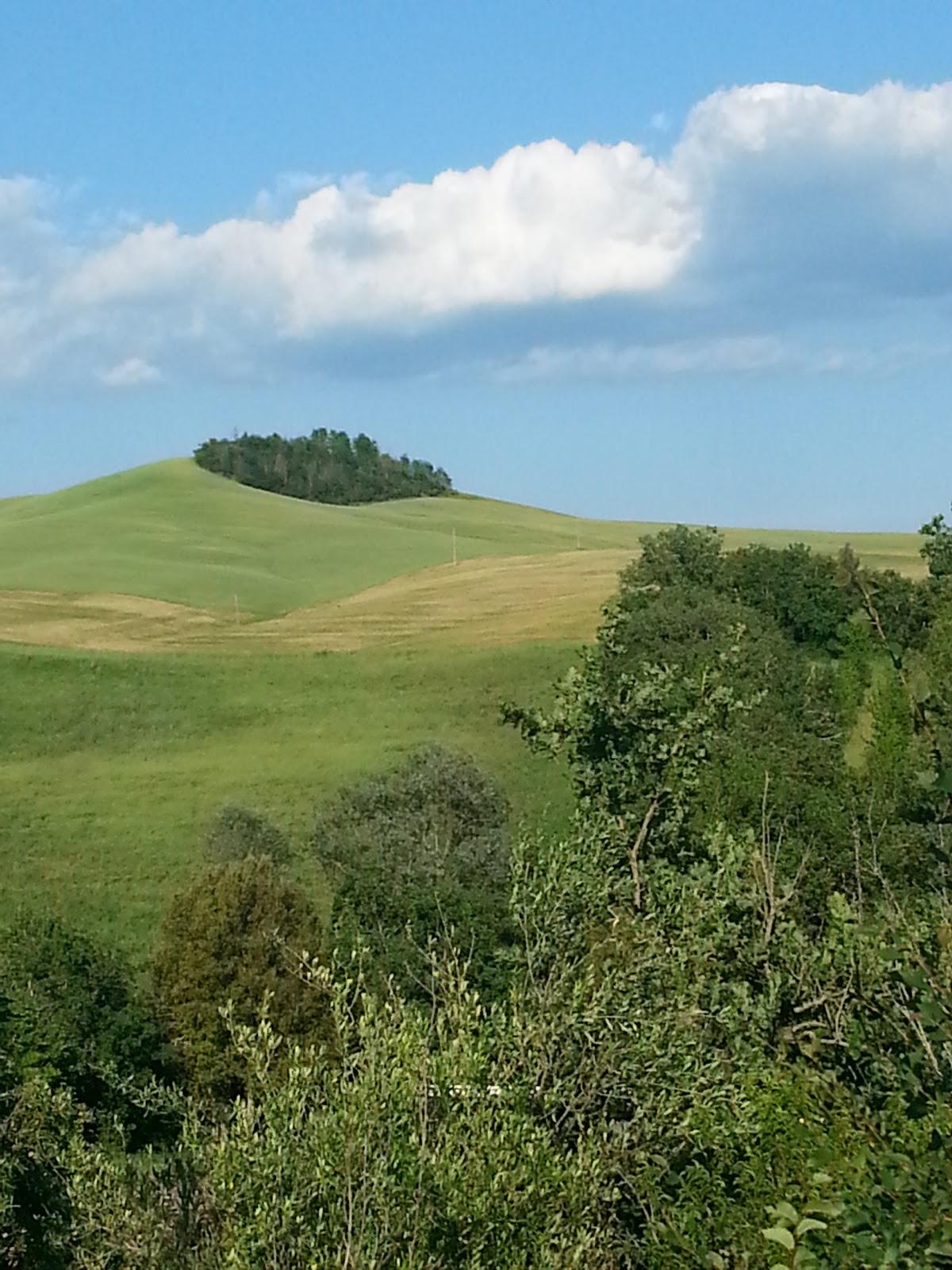 La Befa Da Brunello ristorante, Italia - Recensioni del ristorante