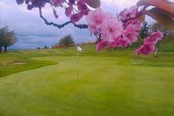 Menu for woodham golf and country club and review - Restaurant Guru