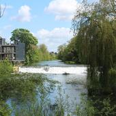 The cross keys blatchbridge frome restaurant menu - Restaurant Guru