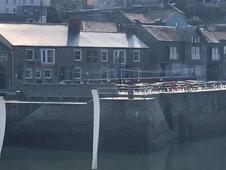 Harbour inn arley restaurant menu - Restaurant Guru