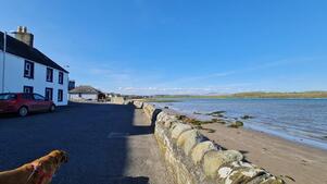 Menu for harbour inn lowestoft and restaurant review - Restaurant Guru