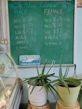 epiQ Food Hall, Woodbridge - Restaurant menu, prices and reviews