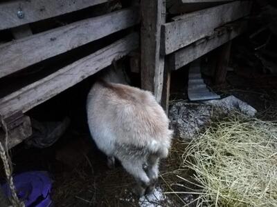 Laiser Hill Plaza, Ongata Rongai - Restaurant menu, prices and reviews