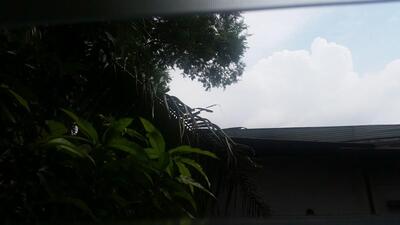 Albergus, Quezon City - Restaurant menu, prices and reviews