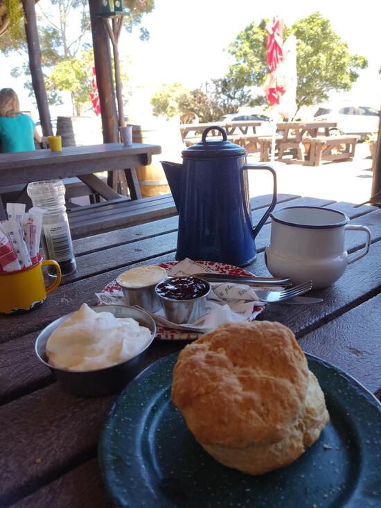 Menu at Dassiesfontein restaurant, South Africa, N2 between Bot River