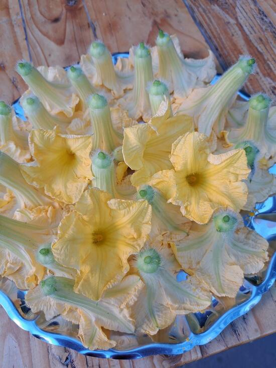 Deli Coast-Wine Bar, Pilos - Restaurant reviews