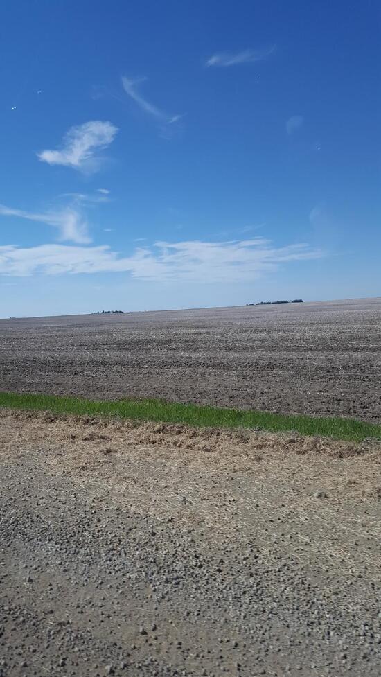 Menu at Lisa's Cafe, Rouleau