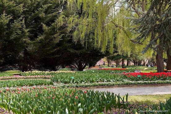 Menu at Sutton Cafe, Sutton, Old Federal Hwy