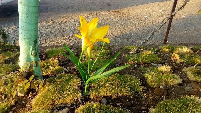 Menu at Hotel Rajnandini, Sindkhed Raja