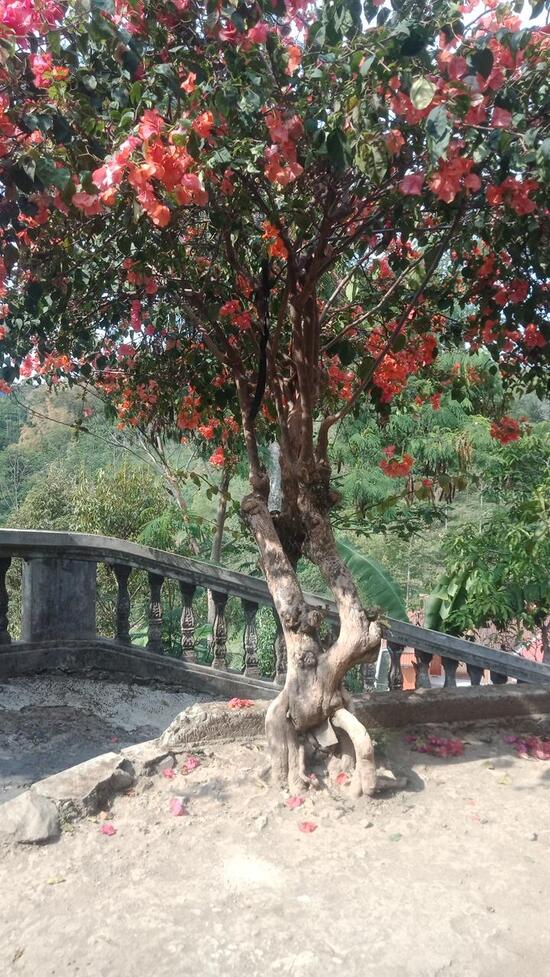 Menu at Base kamp pampung pub & bar, Nglebak