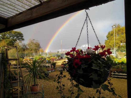 Menu at Daisy Tea Room, Dereham