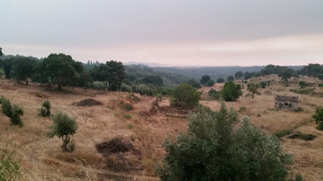 Menu em Galp, Sardoal