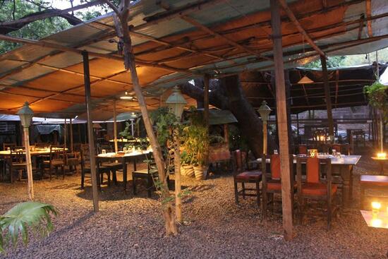 Rajendra Singh's Retro Kitchen, Indore - Restaurant reviews