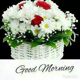 Menu at British Indian Restaurant, Pemberton