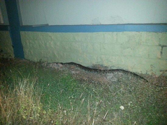 Menu at NITK Night Canteen (NC), Mangaluru