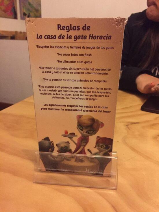Menu at La Casa De La Gata Horacia cafe, Providencia
