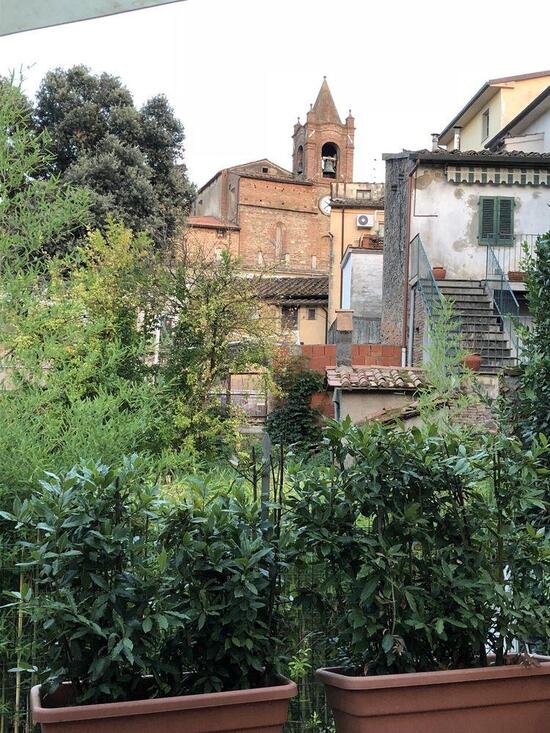 Menu da Il Morso pizzeria, Terricciola