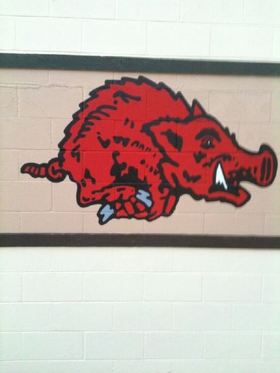 Menu at Jim's Razorback Pizza pizzeria, Bentonville, 226 N Walton Blvd