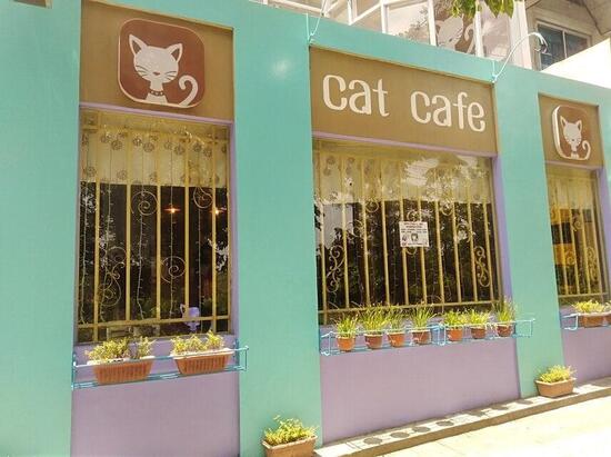 Menu at Tabby Town Cat Cafe, Tagaytay, Sta. Rosa-Tagaytay Road