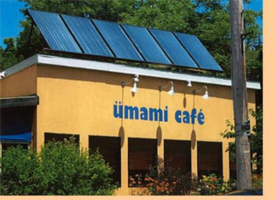 Menu at Umami Cafe, Croton-on-Hudson